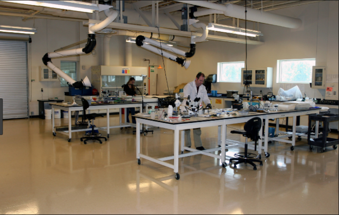 8 Difference Between Wet lab And Dry Lab (With Pictures) - VIVA DIFFERENCES