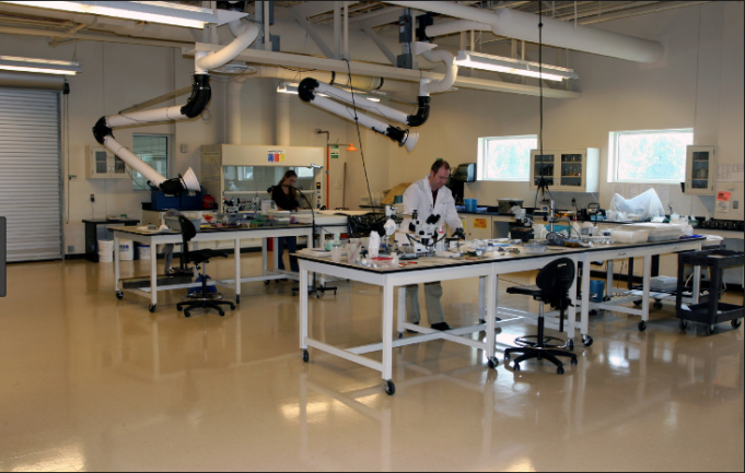 8 Difference Between Wet lab And Dry Lab (With Pictures) - VIVA DIFFERENCES