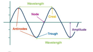 10 Differences Between Longitudinal And Transverse Waves (With Examples ...