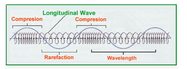 10 Differences Between Longitudinal And Transverse Waves With Examples 