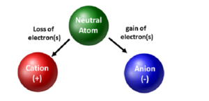 10 Differences Between Cations And Anions With Examples - VIVA DIFFERENCES