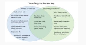 8 Difference Between Primary And Secondary Succession (With Example ...