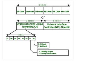 12 Difference Between MAC Address And IP Address - VIVA DIFFERENCES