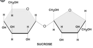 Difference Between Reducing Sugar And Non-reducing Sugar With Examples ...