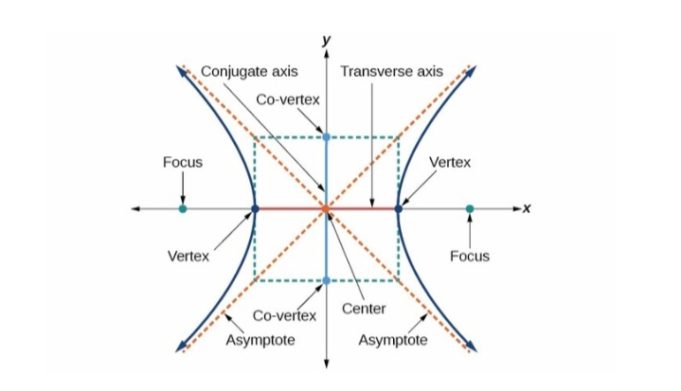 Difference Between Hyperbola And Parabola (With Pictures) - VIVA ... Difference Between Hyperbola And Parabola (With Pictures) - VIVA ...