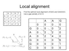 Difference Between Global And Local Sequence Alignment - VIVA DIFFERENCES