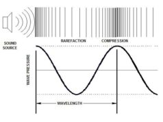 Difference Between Compression And Rarefaction In Longitudinal Wave ...