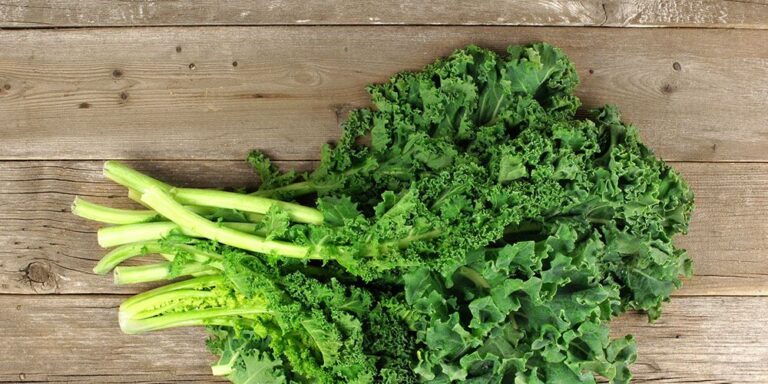 Difference Between Collard Greens And Kale - VIVA DIFFERENCES