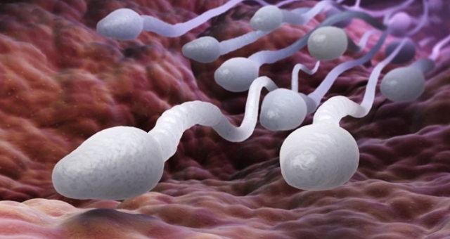 Difference Between White Sperm (Semen) And Clear Sperm (Semen) - VIVA ...