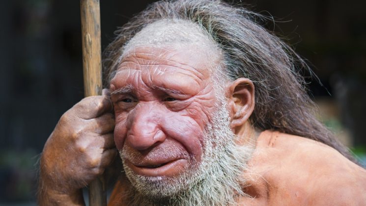 15 Difference Between Homosapien And Neanderthal (With Pictures) - VIVA ...