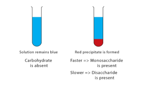 Barfoed’s Test: Principle, Reagents & Result Interpretation - VIVA ...