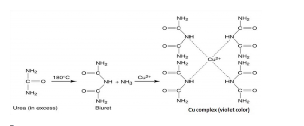 Biuret Test: Principle, Reagent & Result Interpretation - VIVA DIFFERENCES