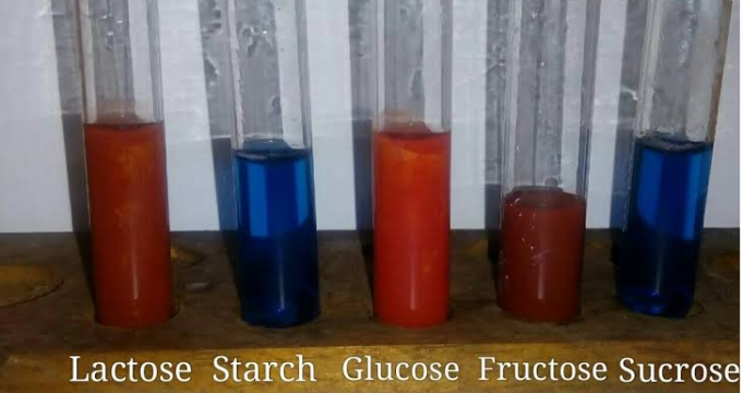 Seliwanoff’s Test: Principle, Reagent, Procedure & Result ...