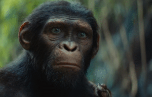 28 Types of Apes - (Identification, With Pictures) - VIVA DIFFERENCES